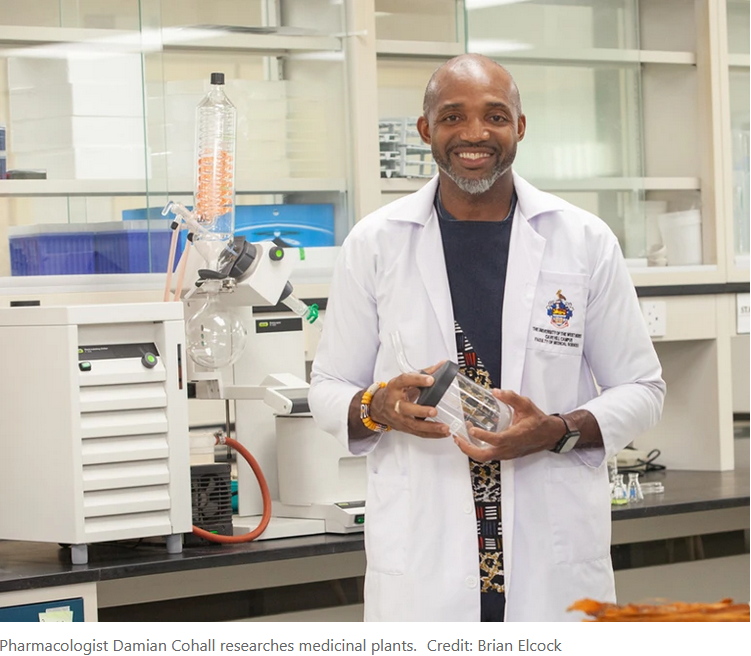 FMS Dean highlights the contribution of indigenous knowledge systems to scientific advancement ...